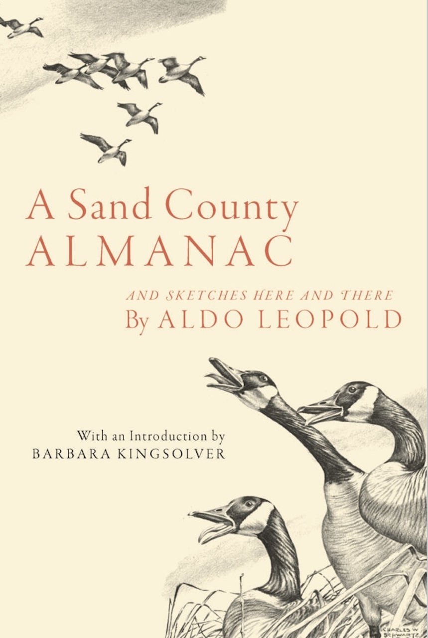Sketch: A Sand County Almanac by Aldo Leopold – sketches here and there